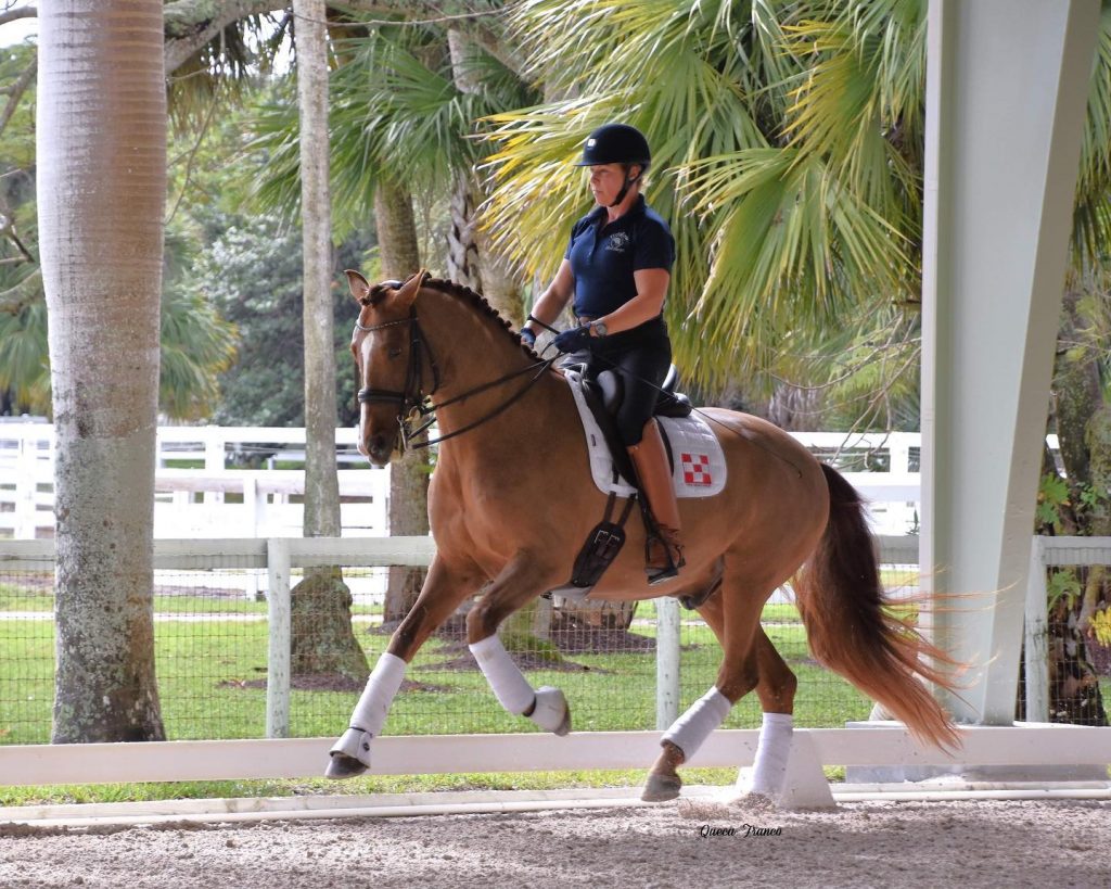 Kim & Elvis HI Shine at the 2023 US Lusitano Conference! - Kim Herslow